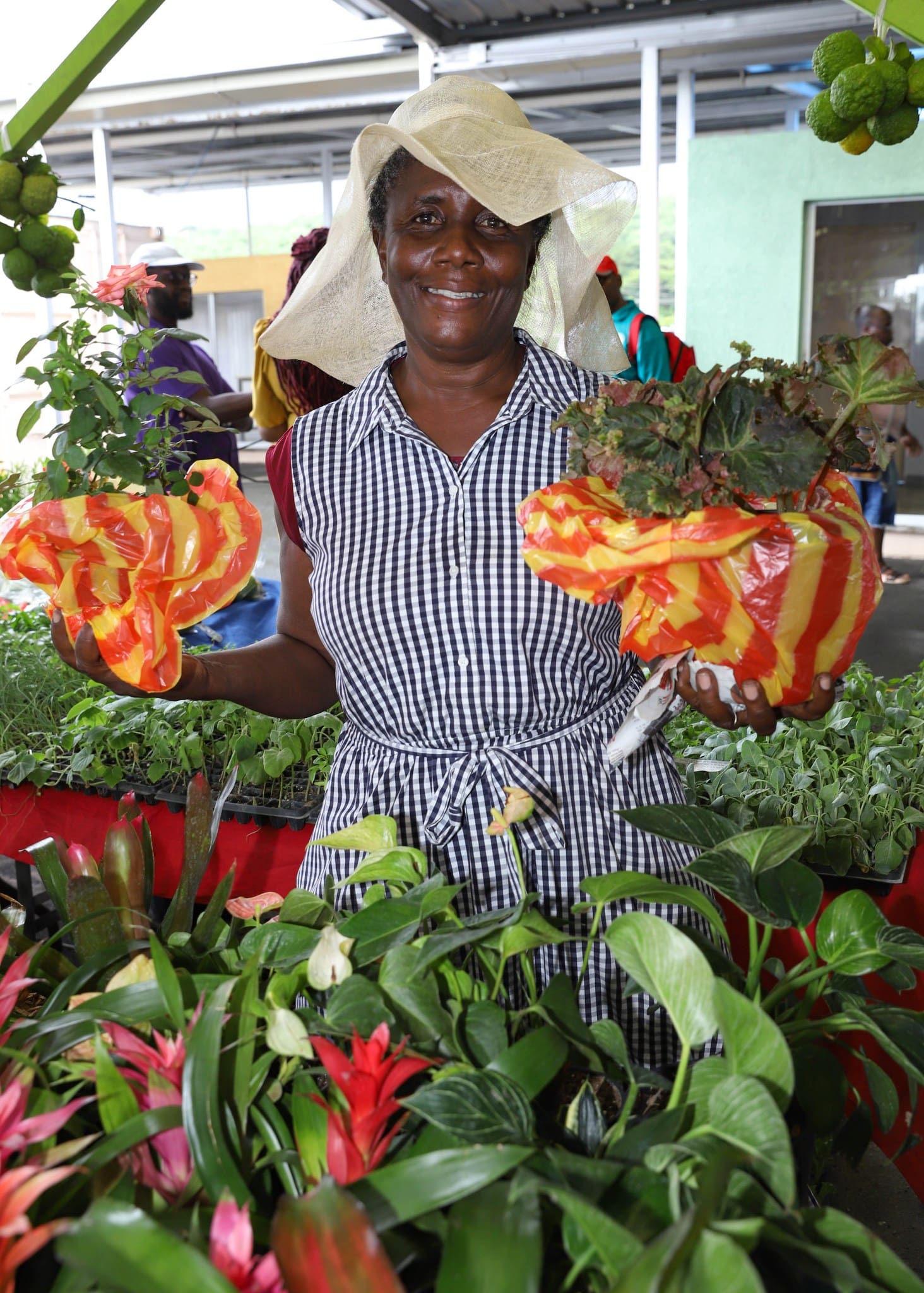 Tobago’s Farming Population - Tobago Updates