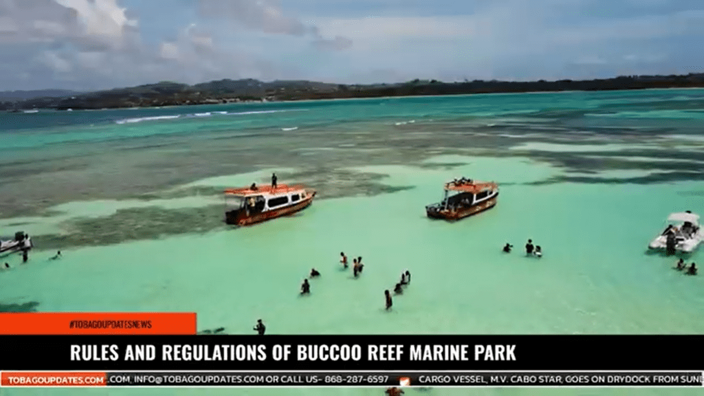 Rules and Regulations of Buccoo Reef Marine Park Must Be Respected ...