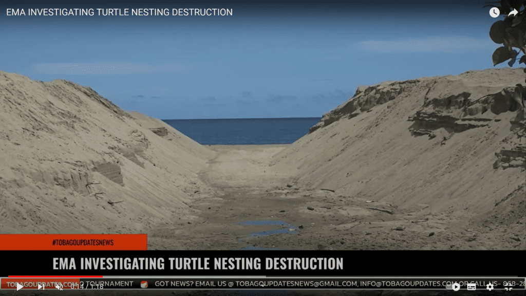 EMA reacts to nesting disturbance - Tobago Updates