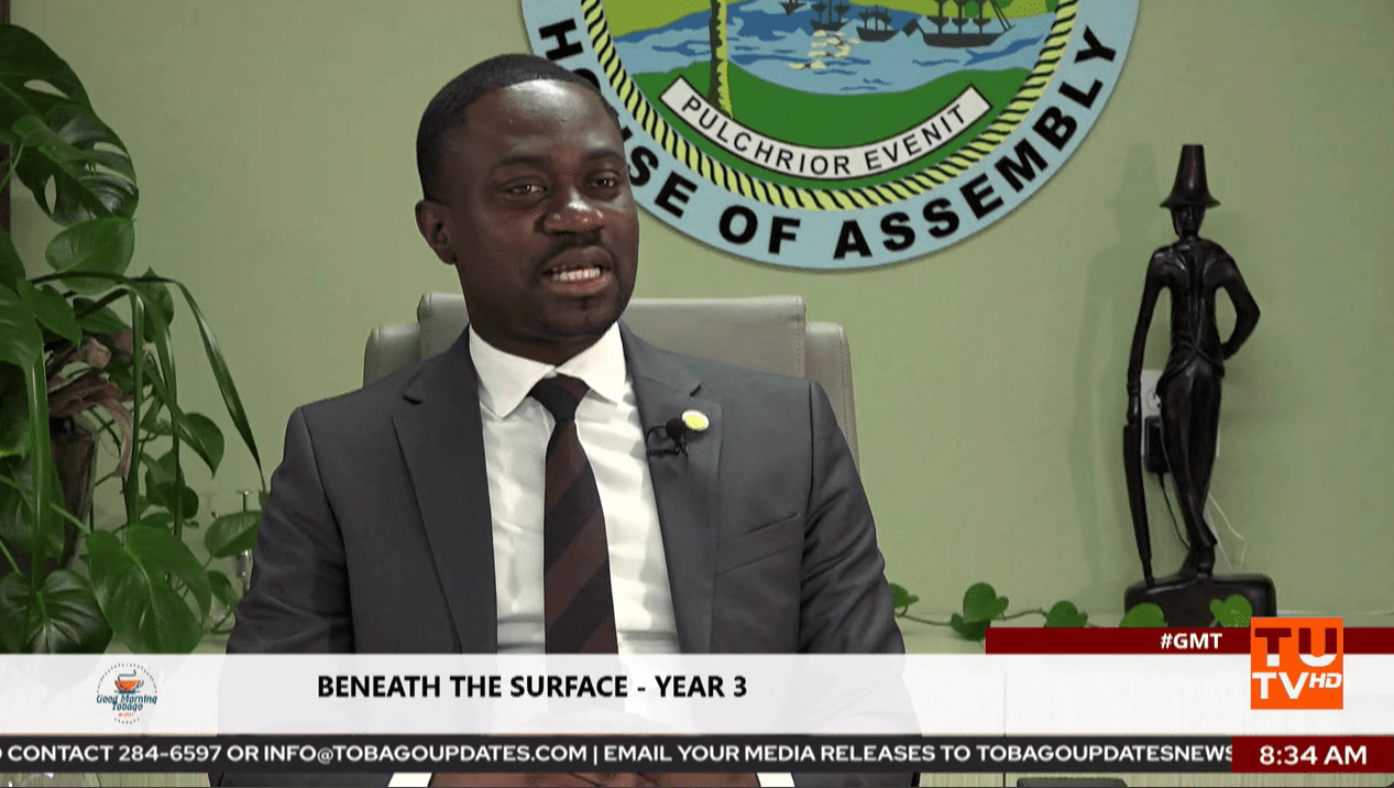 Beneath the Surface - Year 3 | Honourble Farley Chavez Augustine ...